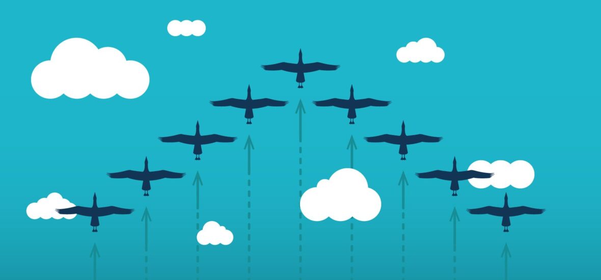 Transaktional oder transformational führen: Eine Gegenüberstellung ...