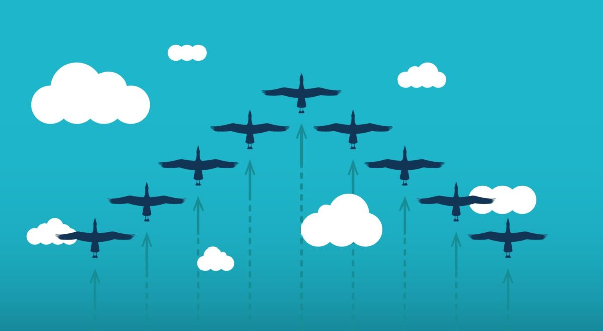 Transaktional oder transformational führen: Eine Gegenüberstellung ...